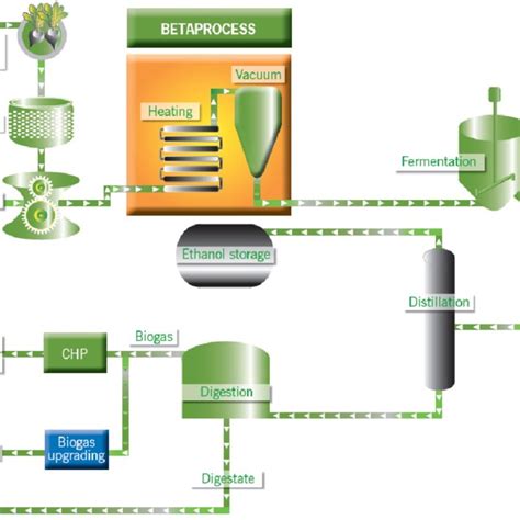 Process Diagram Of Direct Processing With Betaprocess Of Sugar Beet To