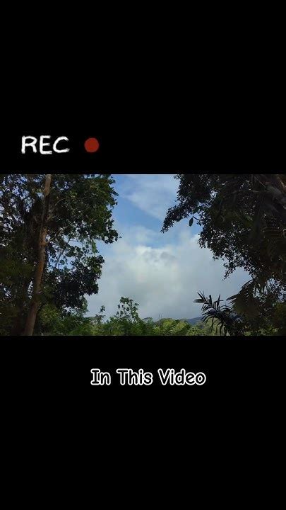 මගේ සතියේ දවසක් ගෙවුණු විදිය මං පැල වලට දාන පොහොර Gardening Shorts Dayvlogssinhala Youtube