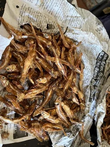 Poultry Feed Raw Material At Rs 20kilogram कैटल फीड रॉ मटेरियल In