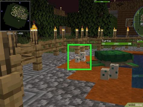How To Get Use Scutes In Minecraft The Complete Guide