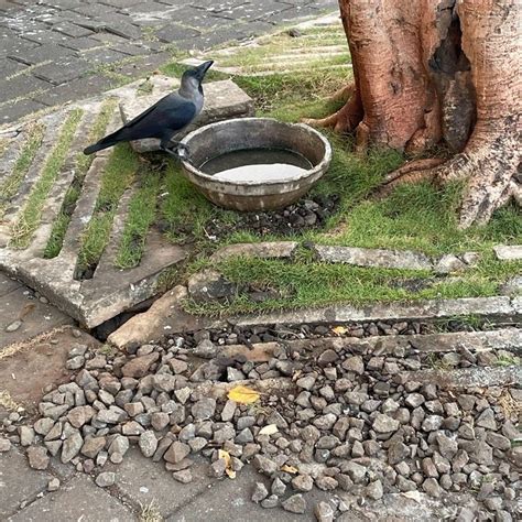 Designleadership Designthinking Designinnovation Problemsolving Storytelling Ashwini