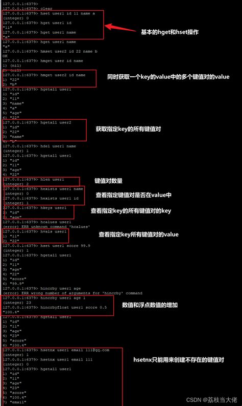 Redis——初窥门径 Csdn博客