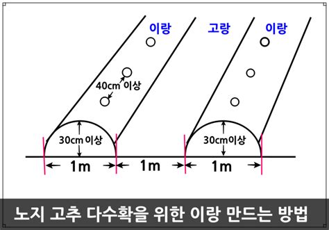 2023년 다수확을 위한 고추밭 이랑두둑 만들기 네이버 블로그