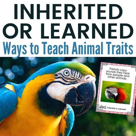 How To Use Tape Diagrams In Math To Solve Word Problems