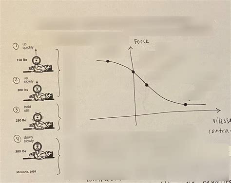Cours 8 Relation Forcevitesse Diagram Quizlet