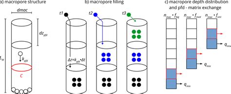 Conceptual Visualization Of A The Structure Of A Single Macropore Conceptual Visualization Of A The Structure Of A Single Macropore