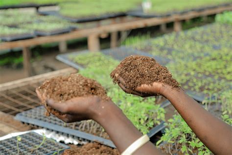 Soil Testing The Pathway To Soil Fertility Climate Smart Jobs