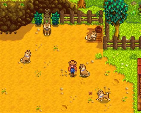 Top 20 Stardew Valley Dog Mods Stardew Guide