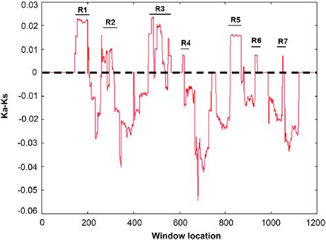 Sliding Window Analysis Of Human Chimpanzee Ka Ks Along The Hairless