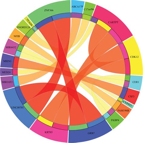 The Rule Network For The Classification Rules Generated By Johnson