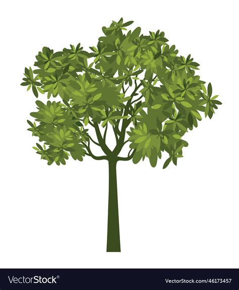 Shape Of Green Tree With Leaves Outline Royalty Free Vector