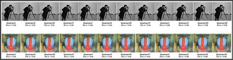 Image Results For Four Quadrants By Varying Scaling Factor α