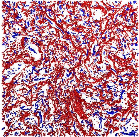 Inertial Particles In Turbulent Flows Cnr Isc