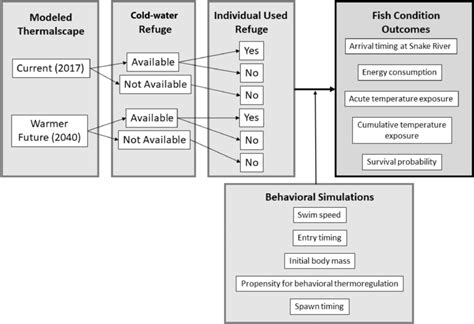 A Simplified Version Of The Experimental Setup Each Box Represents A Download Scientific