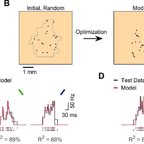 Data Driven Models Of First Order Tactile Neurons A The Model Neuron Download Scientific
