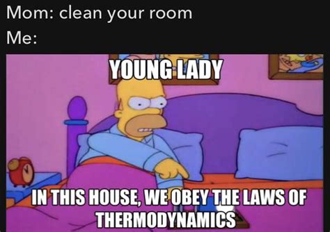 Entropy Rphysicsmemes