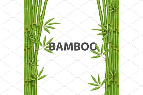 Tropical Chinese Bamboo Grass Tree Decorative Illustrations ~ Creative Market