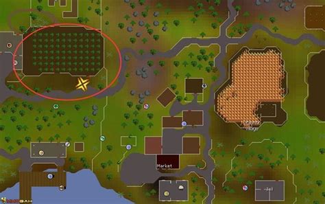 Osrs Money Making Guide Picking Cabbages
