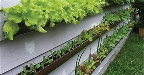 Life Hacks Album On Imgur