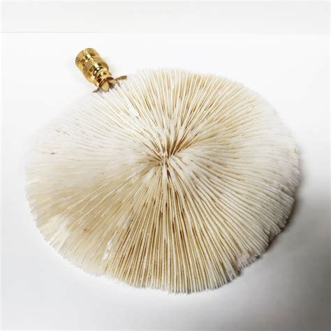 Large Mushroom Coral Lamp Finial With Polished Brass Base Lamp Finial Designs