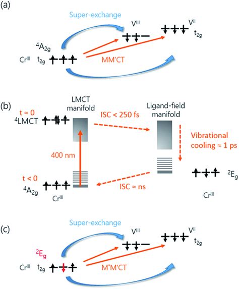 Charge And Spin Dynamics Model A In The Ground State The Mm′ct Can Download Scientific