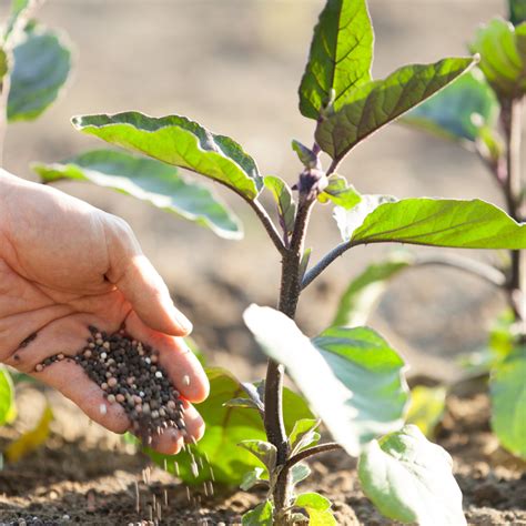 Fertilizer — Stonepath Greenhouses And Landscaping
