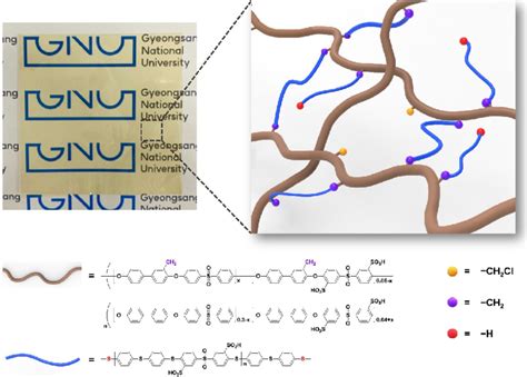Schematic Illustration Of Cross Linked Spaes Membranes Prepared With Download Scientific