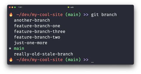 Delete All Merged Git Branches With One Terminal Command