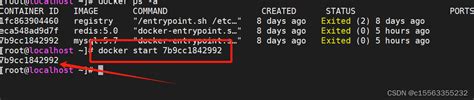 docker镜像中mysql容器启动不起来相关解决办法 mysql8 0镜像启动不了 csdn博客