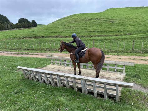 Eventstars Can Anyone Tell Who My Favourite Is At The Moment🫢 We Took Eeyore On An Adventure