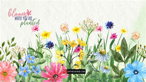 Spring Desktop Backgrounds