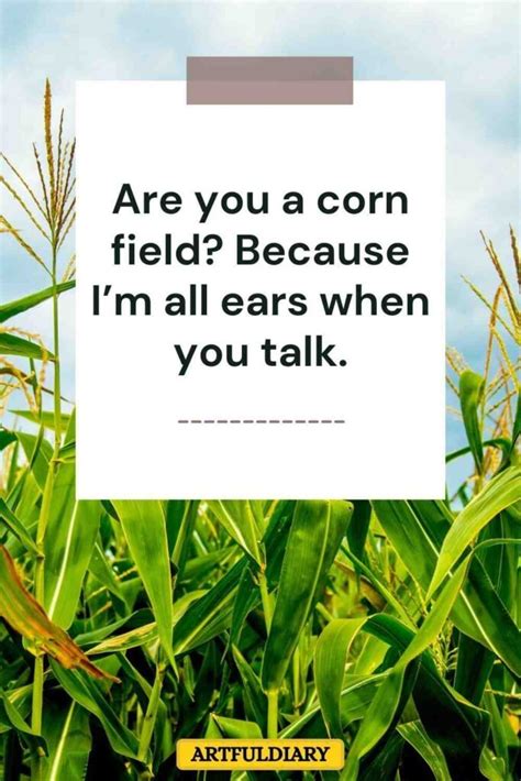 120 Funny Corn Puns And Facts Images To Share On Fb