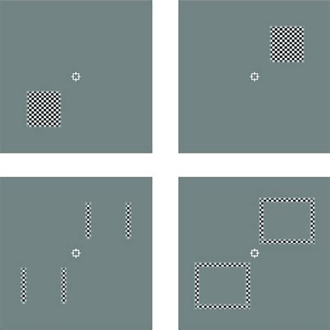 Illustration Of The Checkerboard Stimuli Used For Functional Download Scientific Diagram