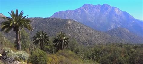 Parque Nacional La Campana Viaje X Chile