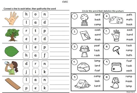 CVCC CCVCC Word Family Write The Words No Prep Worksheet Worksheets Library