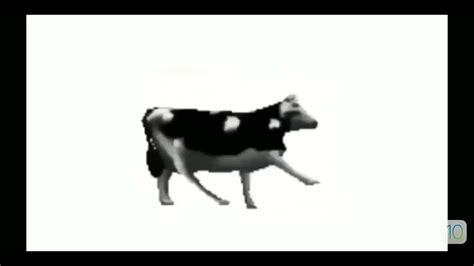 польская корова-10 минут. - YouTube