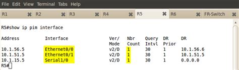 Hacking Cisco Lab PIM Dense Mode