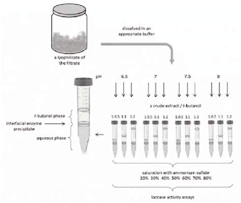 Flowchart For The Optimization Of The Tpp Process Download Scientific