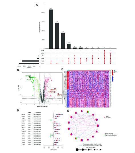 Prognostically Relevant Differential Genes Are Obtained A Upset Plot Download Scientific