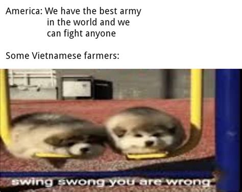 Swing Swong You Are Wrong R Memes