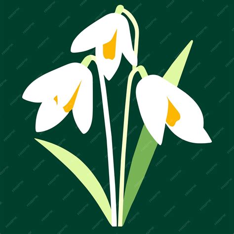Snowdrop Flat Flower Vector Illustration Premium Ai Generated Vector
