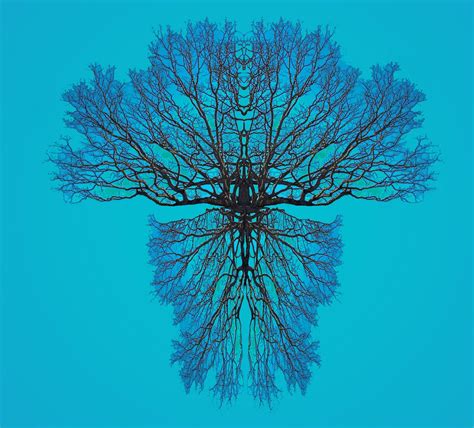 Time Complexity The Not So Hidden Secret To Writing Faster Python Programs By Dan Eder