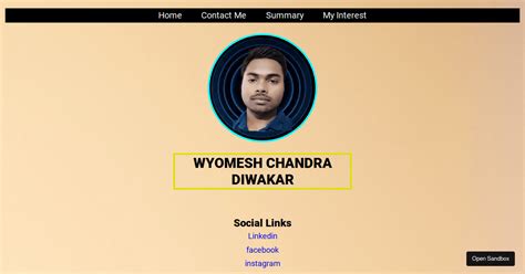 Basic Html Css Portfolio Website Codesandbox