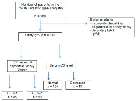 The Role Of Complement Component C3 Activation In The Clinical Presentation And Prognosis Of Iga