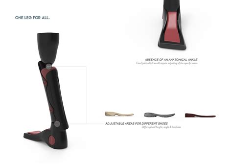 Ordinary Transtibial Leg Prosthesis On Behance