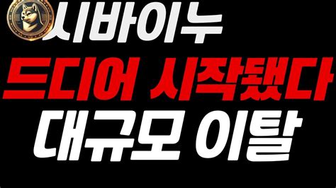 시바이누 드디어 시작됐다 오늘 밤 준비 필수 시바이누전망 시바이누코인 비트코인 비트코인전망 이더리움전망 도지전망 리플전망 Youtube