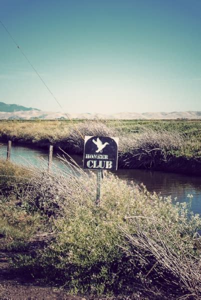 Suisun Marsh California — The Trip Beautiful