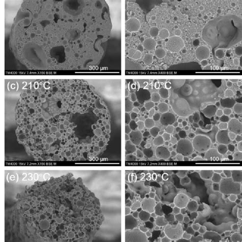 Scanning Electron Microscopy Sem Cross Sectional Micrographs At