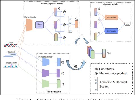 Figure 1 From Maf Cdr Multi Omics Data Integration For Cancer Drug Response Prediction Model