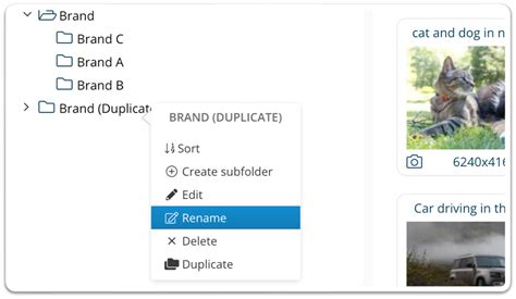 how to duplicate a folder structure including sub folders in qbank